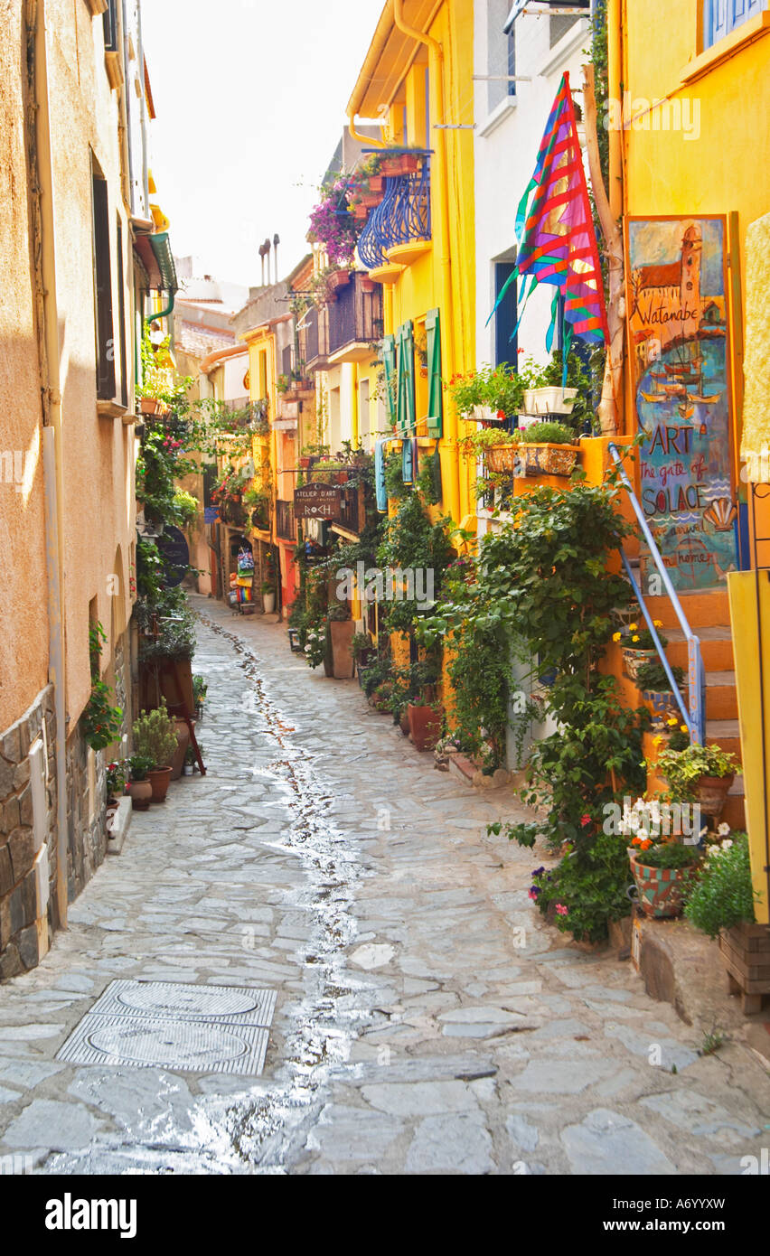Une ruelle de la vieille ville. Collioure. Roussillon. La France. L ...