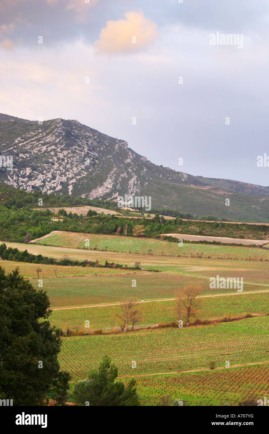 Château Pech-Latt. Près de Ribaute. Les Corbieres. Languedoc. Le ...