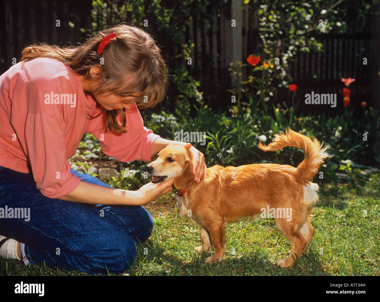 Femme avec un chien Banque de photographies et d’images à haute ...