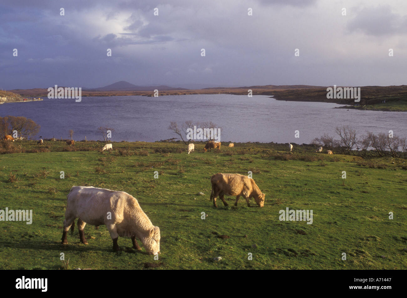 Connemara irlande paysage images Banque de photographies et d’images à ...