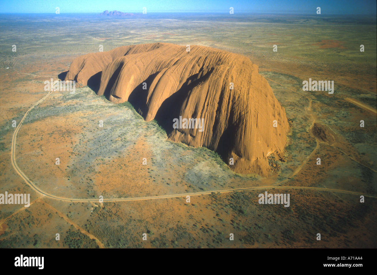 Lizard uluru ayers rock australia Banque de photographies et d’images à ...