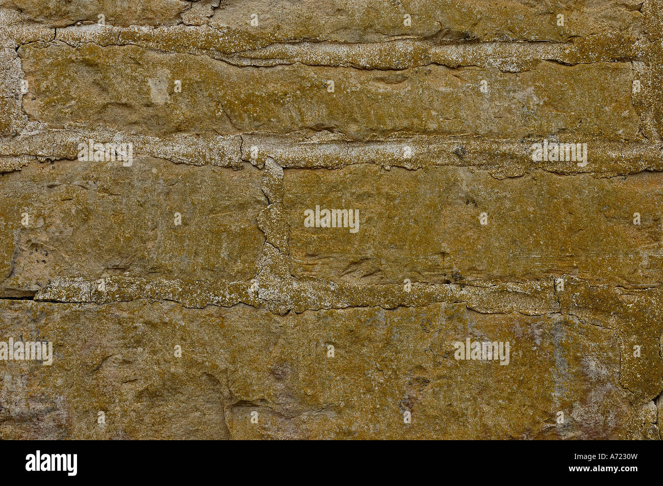 La texture et la structure en pierre calcaire Photo Stock - Alamy