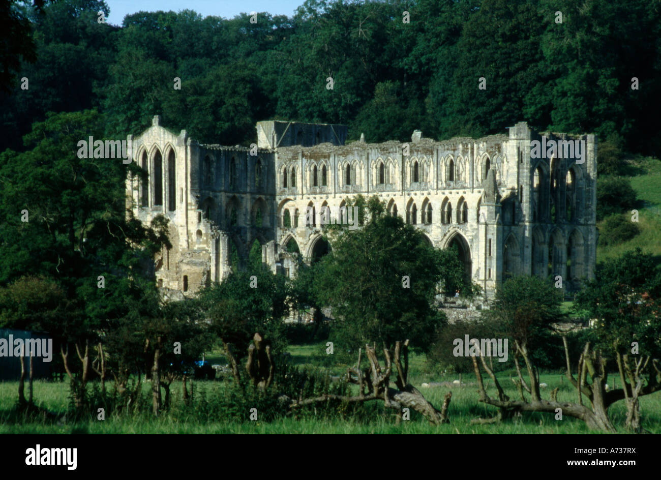 Abbaye de riveaux Banque de photographies et d’images à haute ...