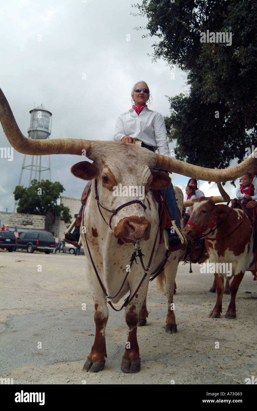 Woman riding longhorn in bandera Banque de photographies et d’images à ...