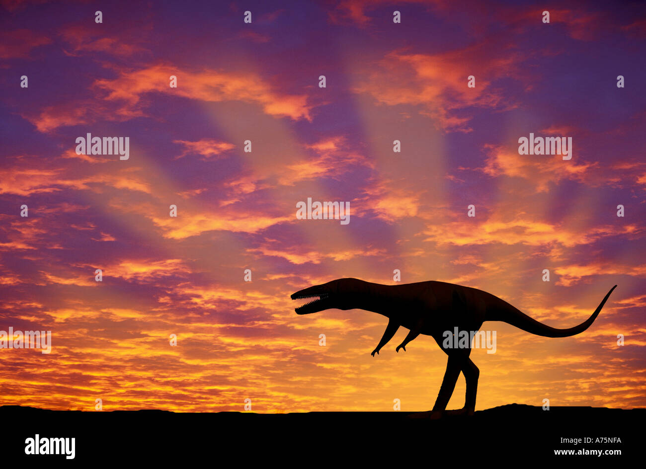 évolution des dinosaures Banque de photographies et d’images à haute ...