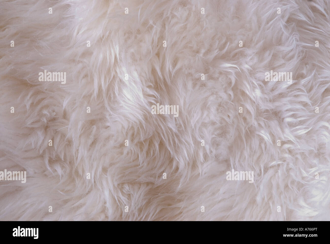 Fourrures Artificielles Banque d'image et photos - Alamy