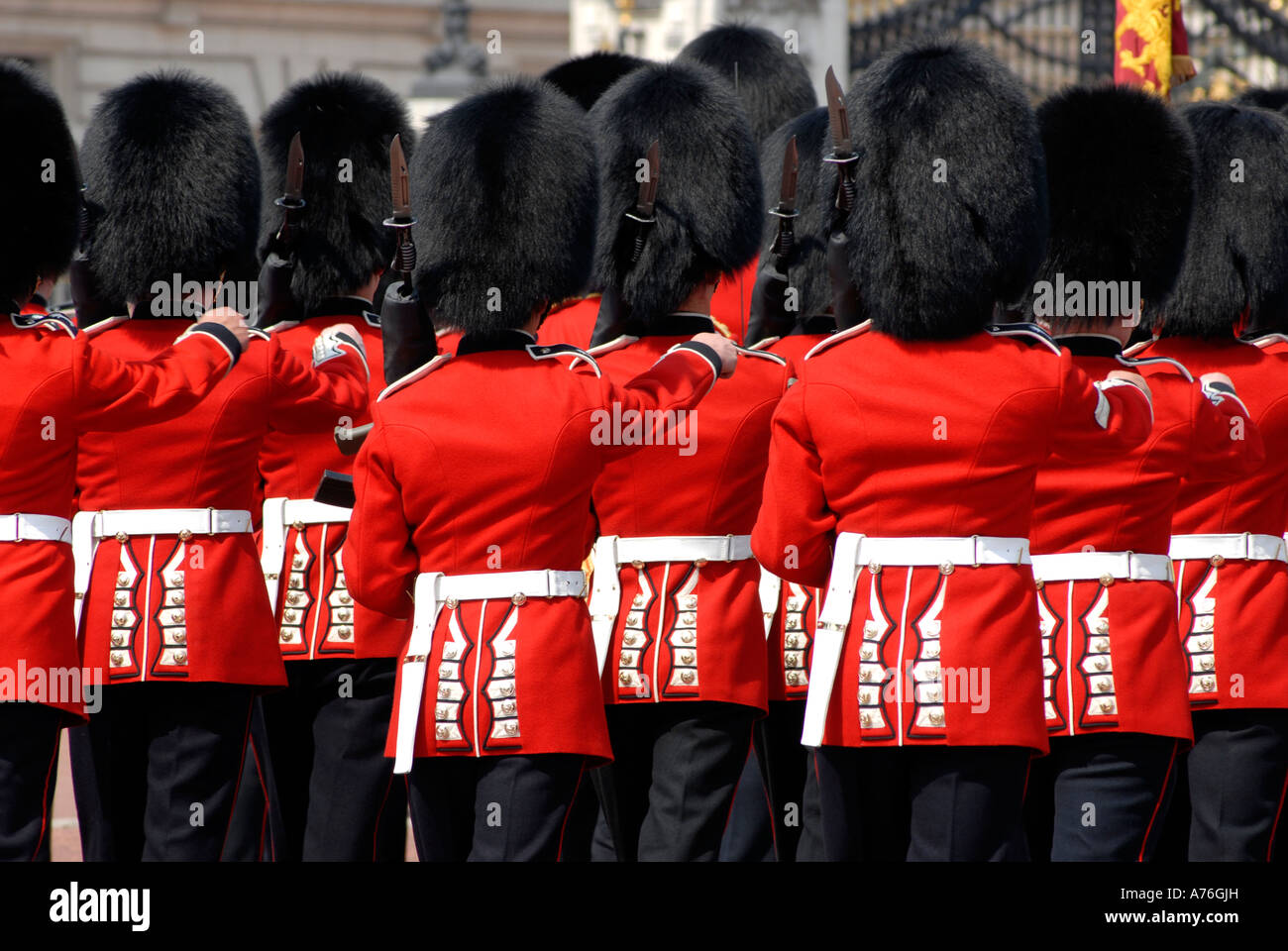 Garde au cours de la cérémonie du changement de la garde à Buckingham ...