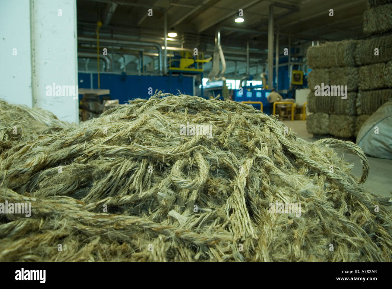 Kenaf fiber Banque de photographies et d’images à haute résolution - Alamy