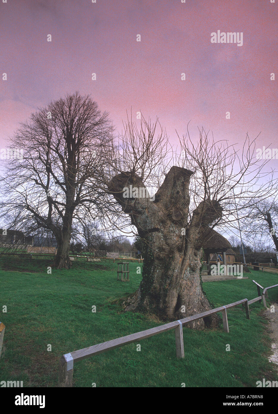 Tolpuddle martyrs Banque de photographies et d’images à haute ...