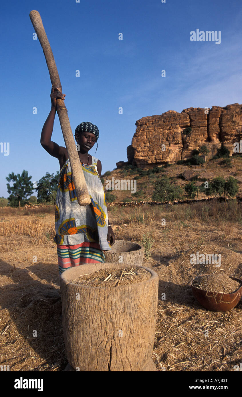 Femme dogon pilant le mil Banque de photographies et d’images à haute ...