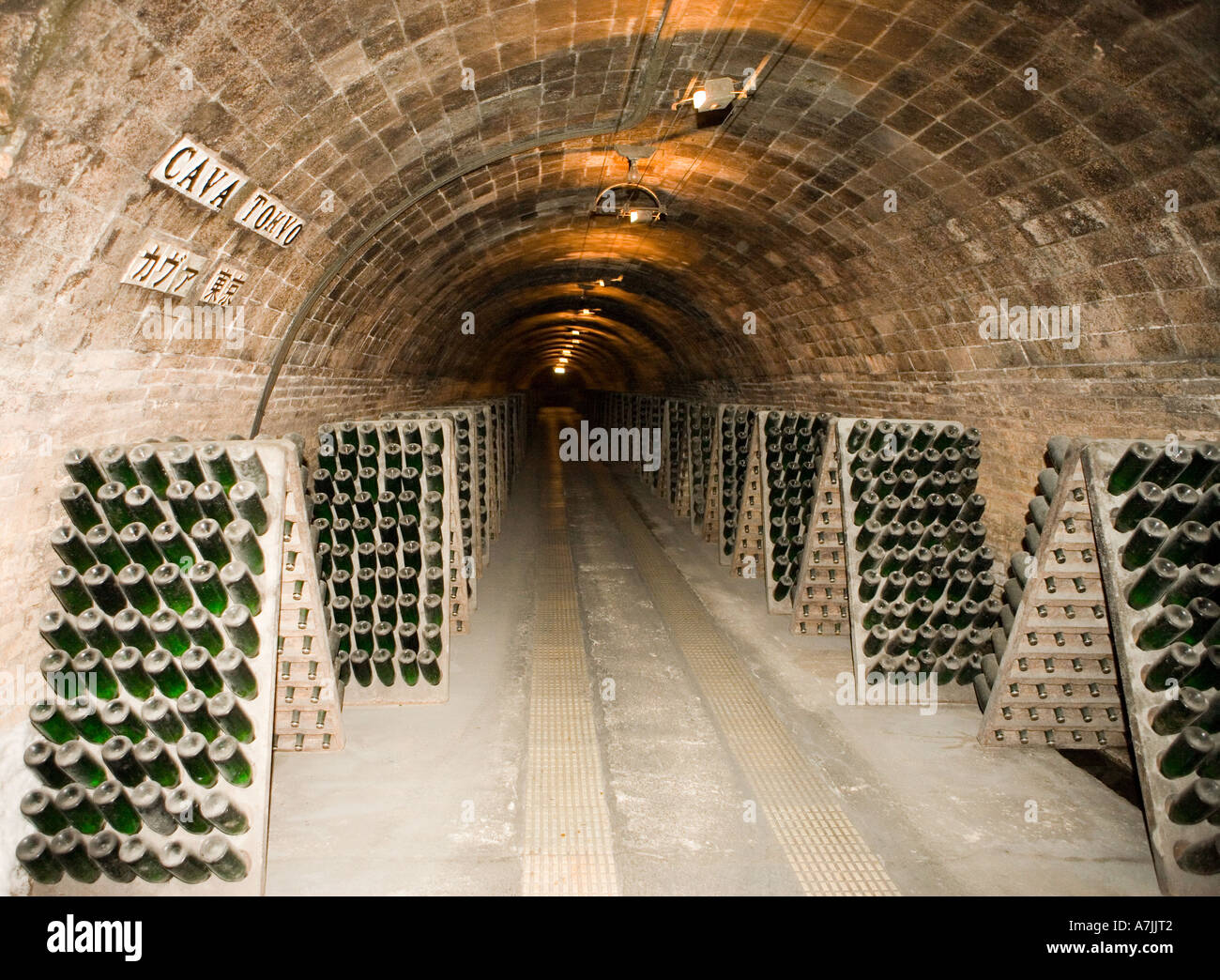 Les caves de codorniu catalogne espagne Banque de photographies et d ...