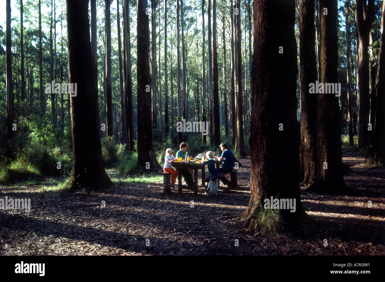 Sherbrooke forest Banque de photographies et d’images à haute ...