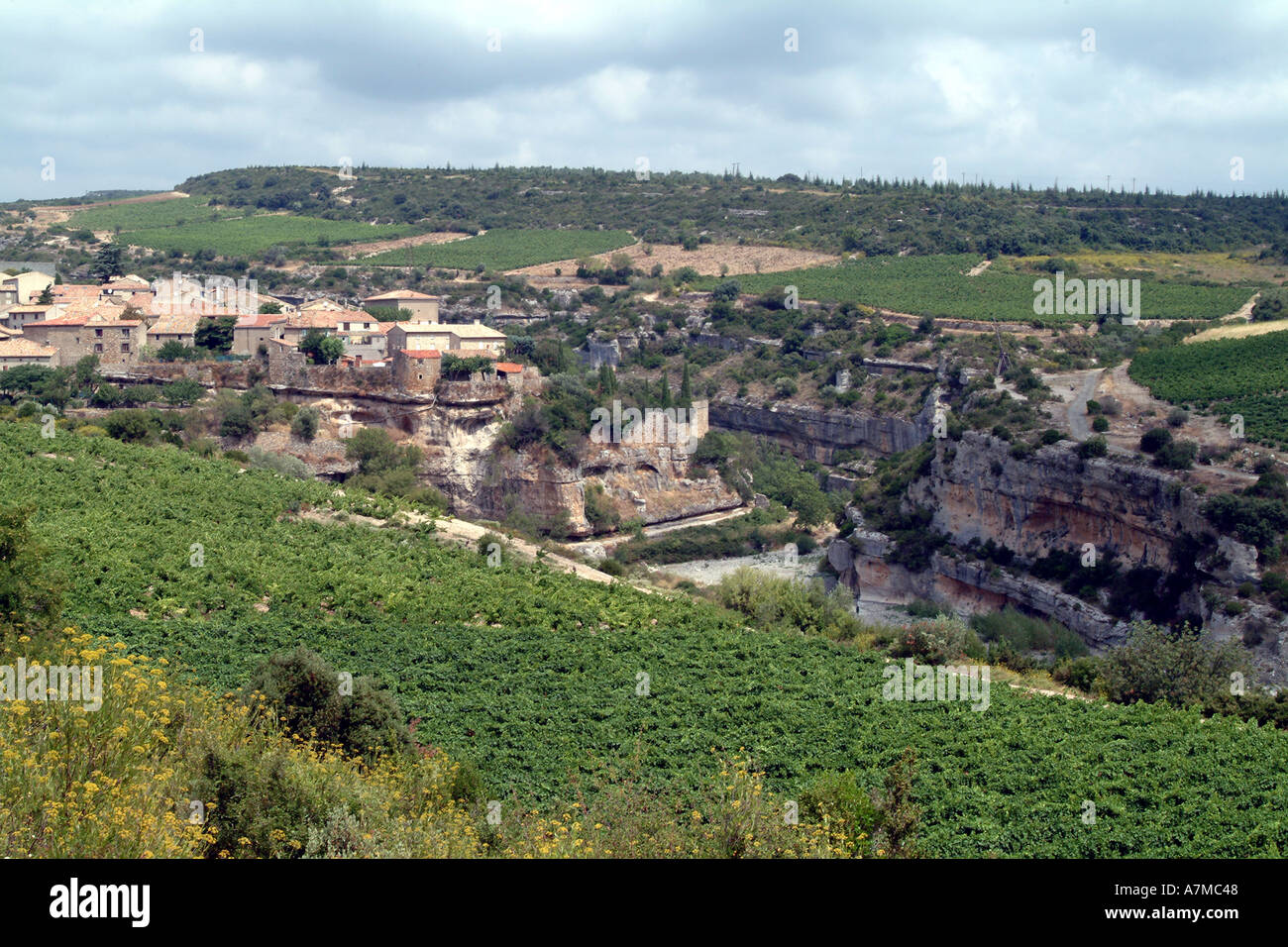 Minerve un magnifique village entouré de vignes dans la région du ...