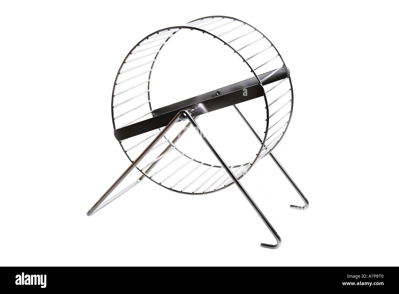 Roue hamster Banque de photographies et d’images à haute résolution - Alamy