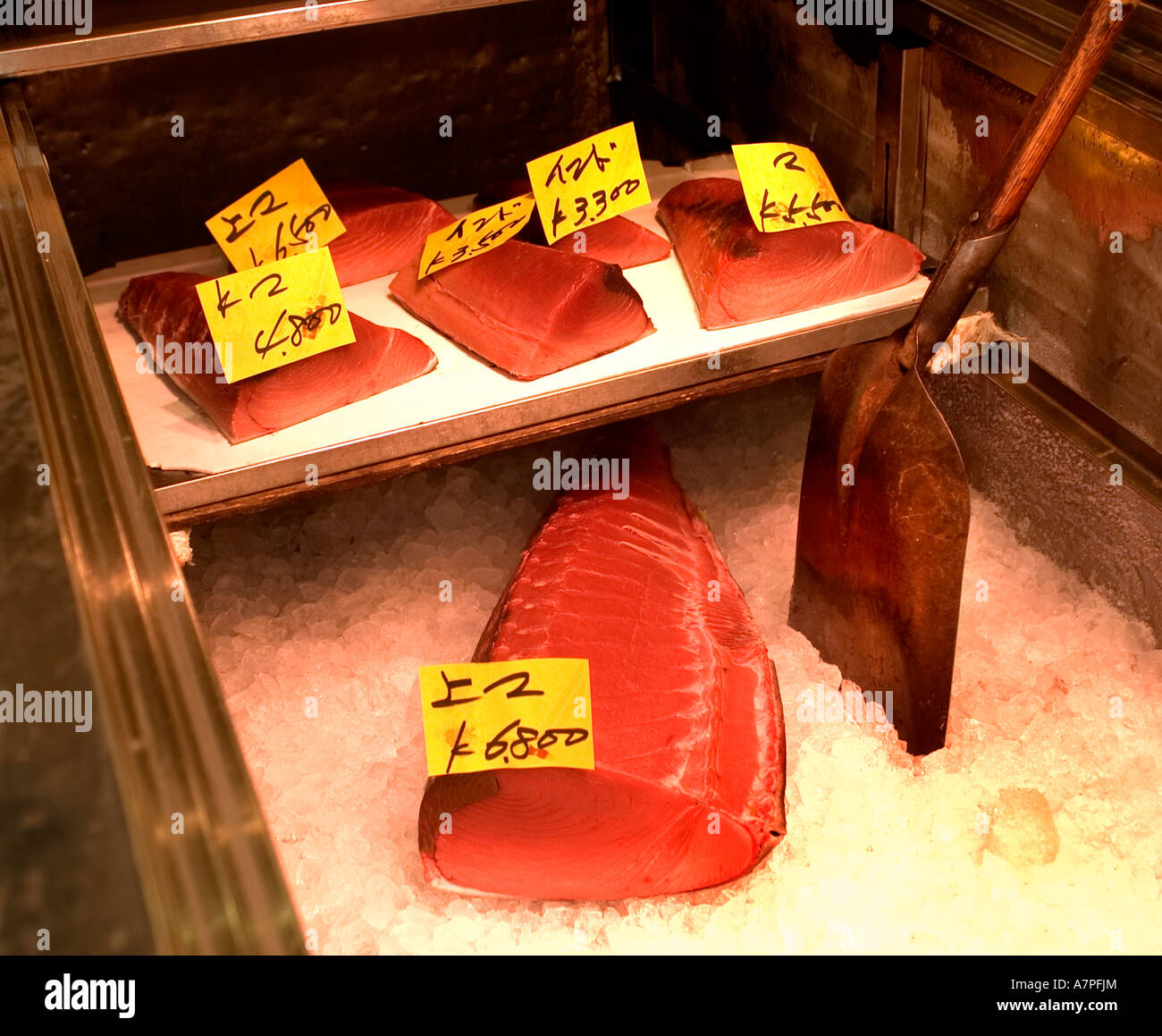 Le plus gros homard du monde Banque de photographies et d’images à ...