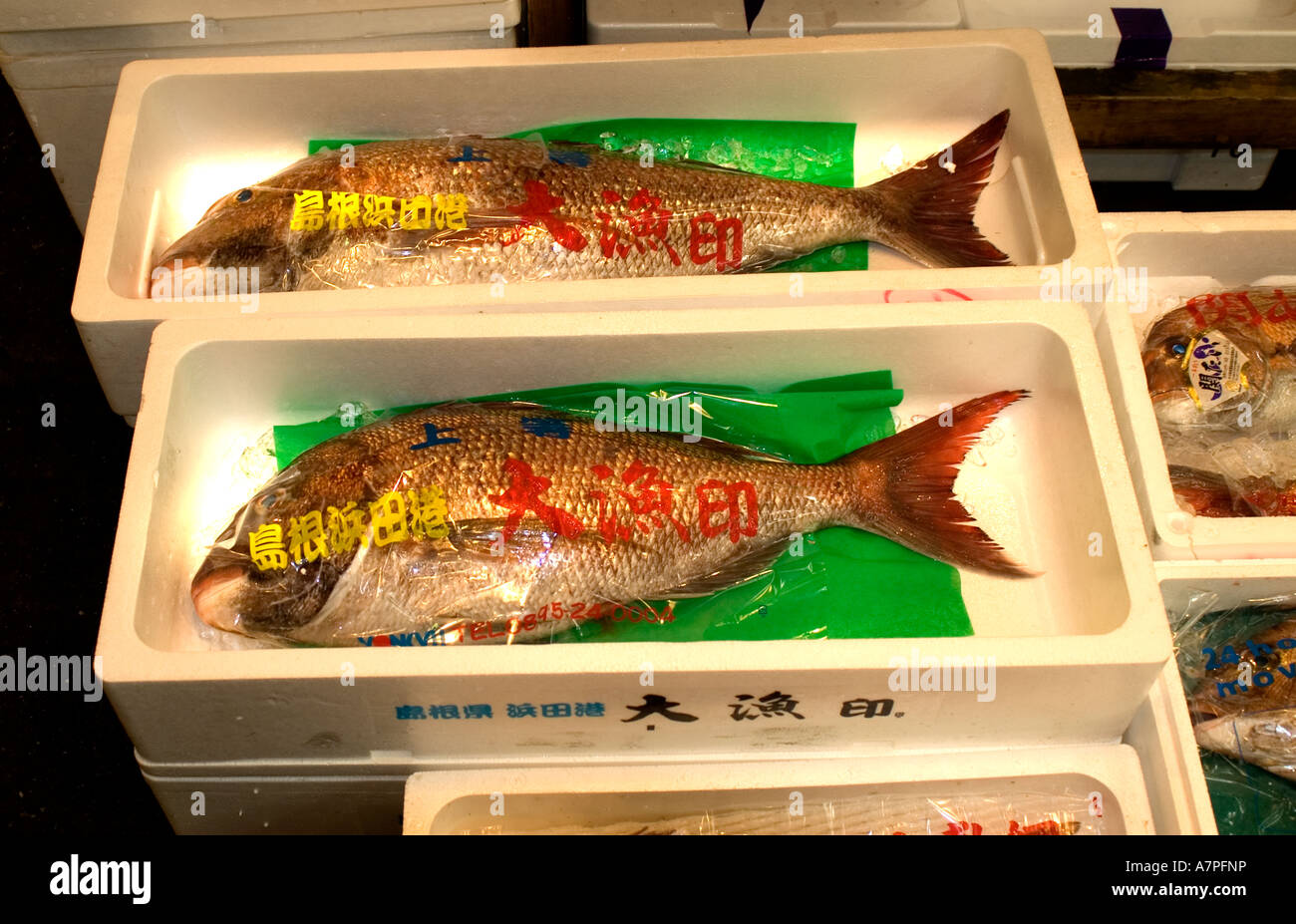 Le plus gros homard du monde Banque de photographies et d’images à ...