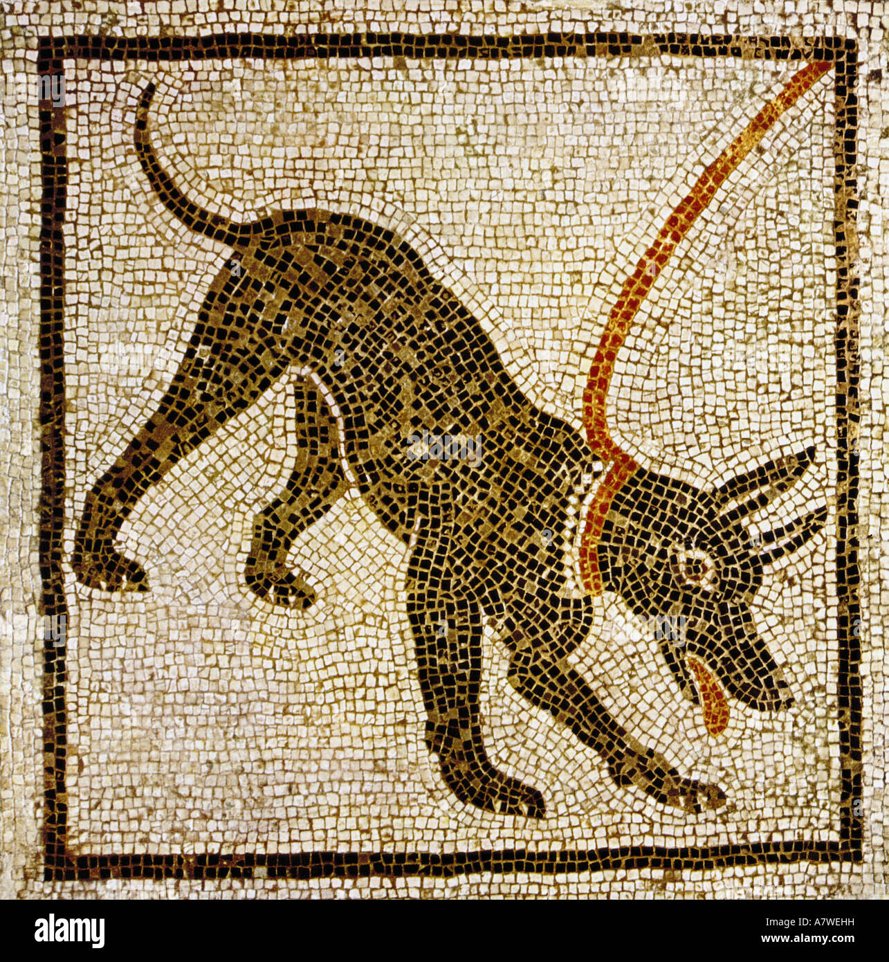 Cave canem Banque de photographies et d’images à haute résolution - Alamy