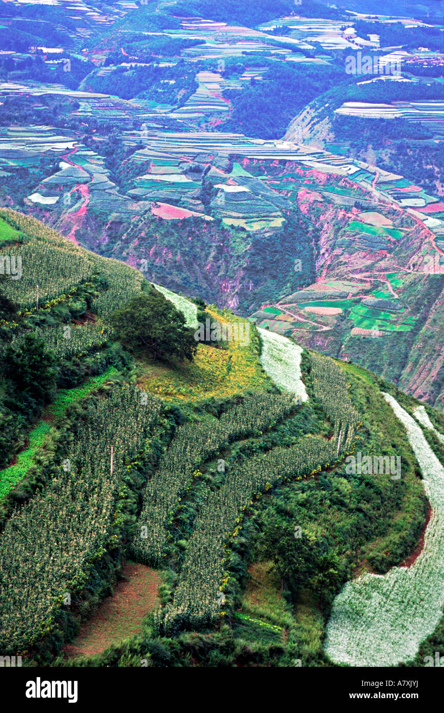 L'Asie, Chine, Yunnan, Dongchuan. Les cultures en terrasses couverture ...