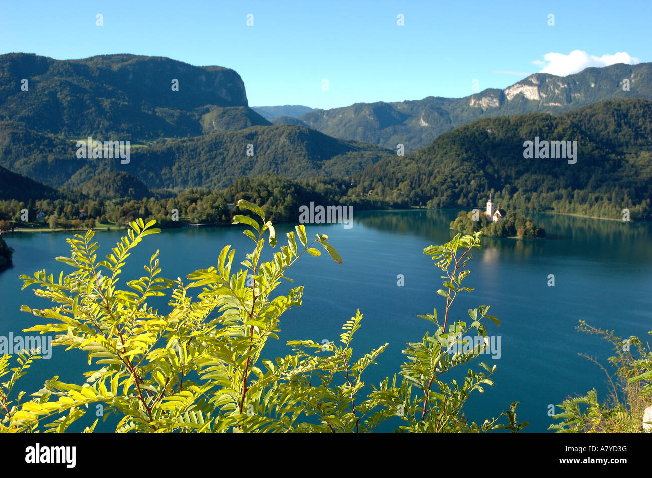 La Slovénie, Bled, le lac de Bled, vue de l'île de Bled Bled Castle ...