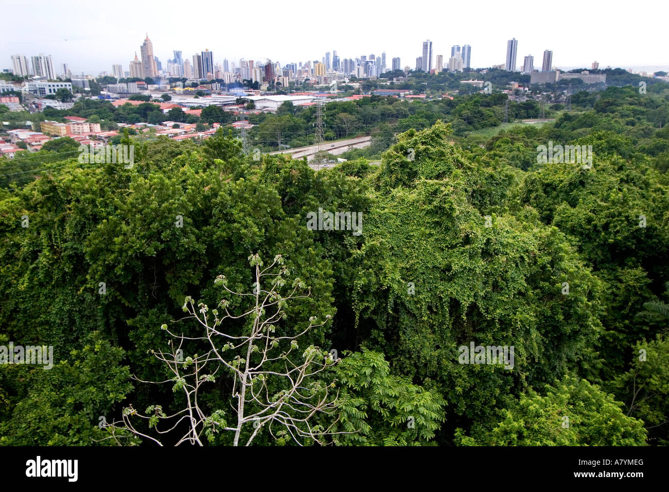Parque metropolitano panama Banque de photographies et d’images à haute ...