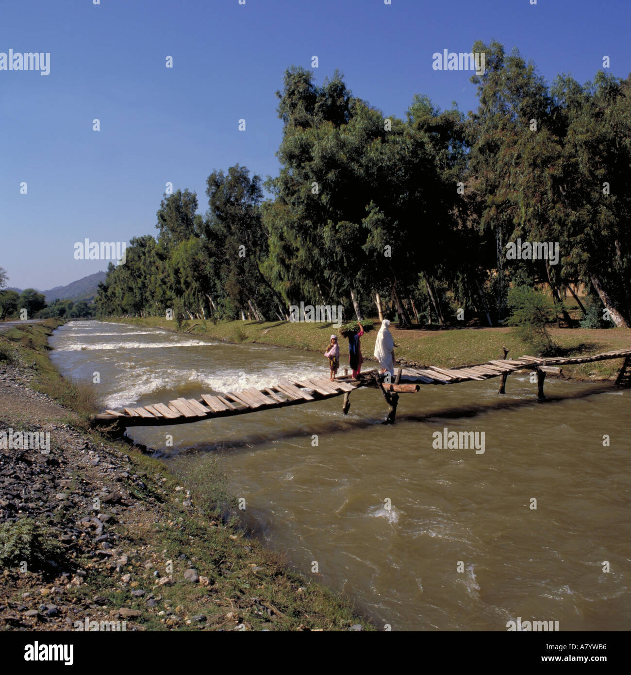 Les habitants du village traversent une passerelle dangereuse au-dessus ...