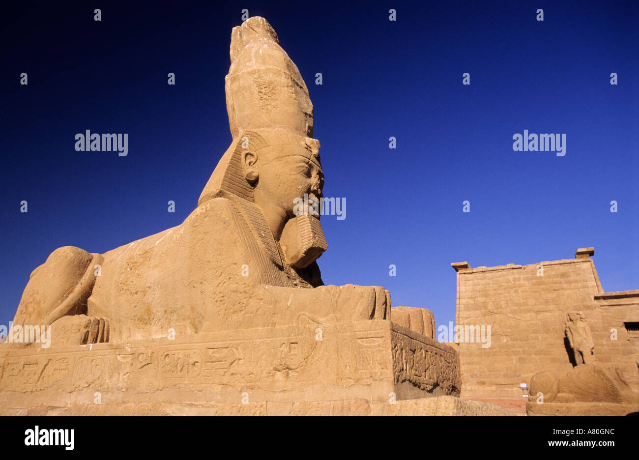 L'Égypte, de la Nubie, temple de Ouadi es Seboua, Sphinx, avec une tête ...