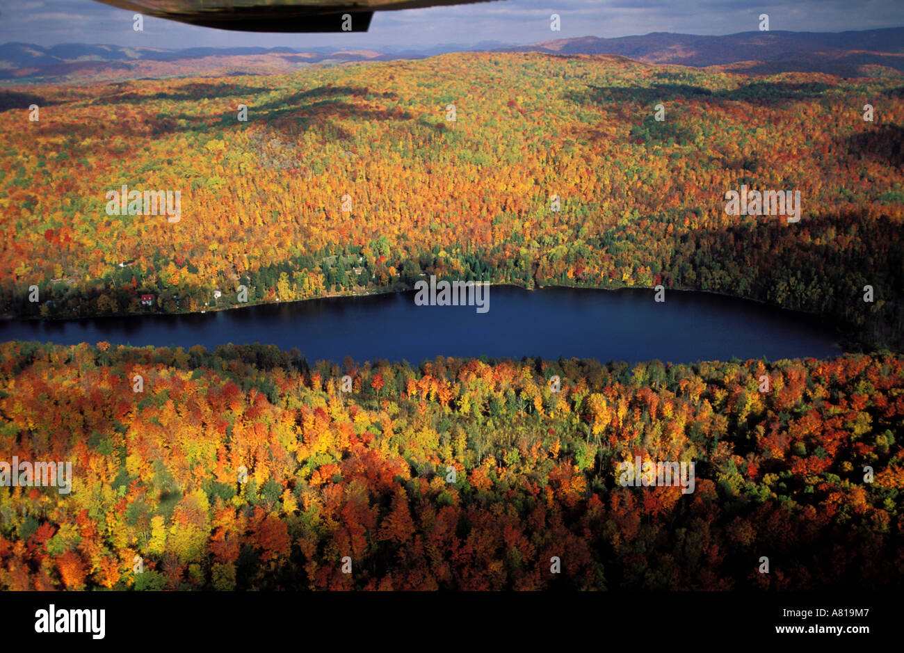 Laurentian forest Banque de photographies et d’images à haute ...