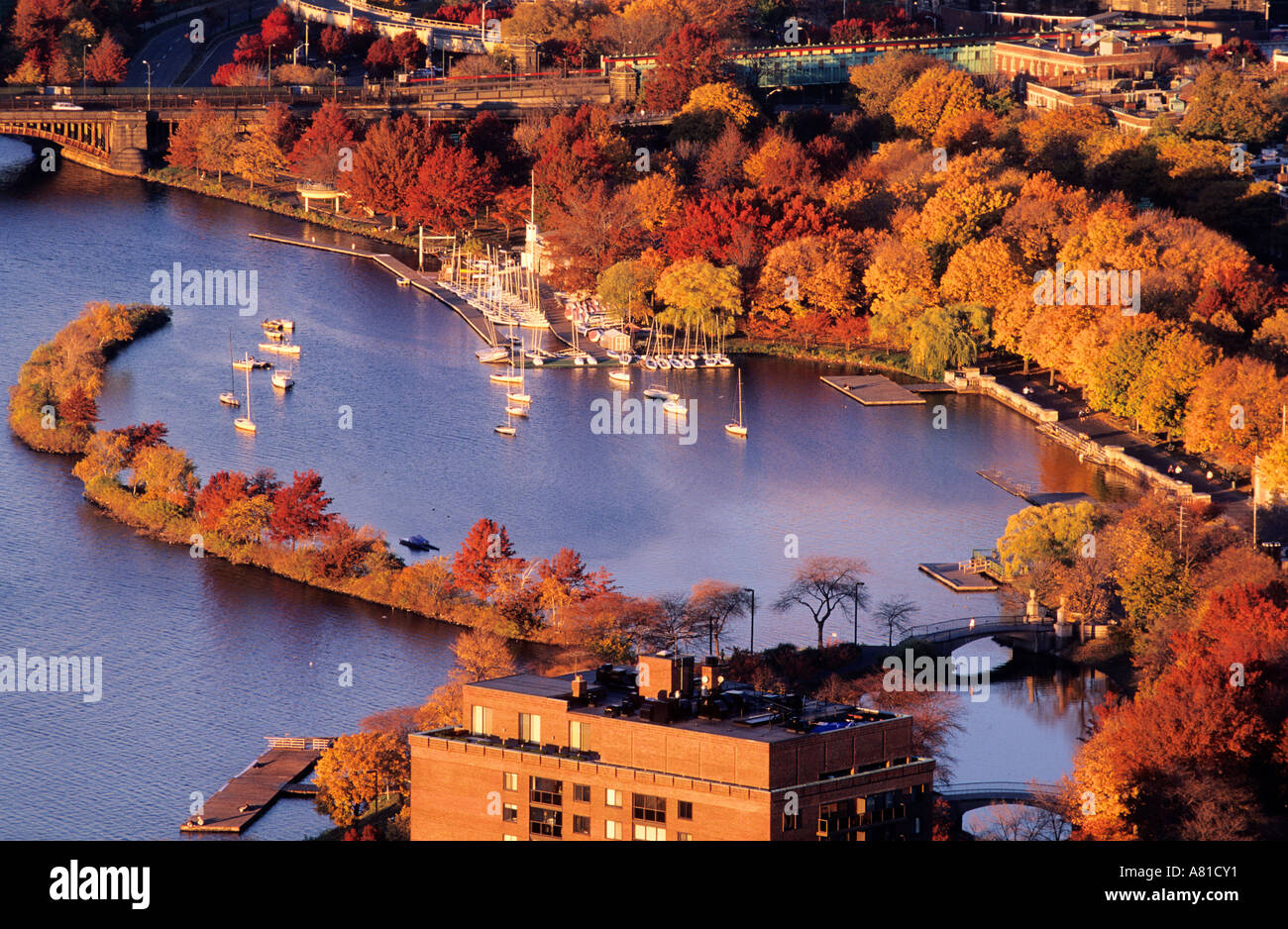 Boston basin Banque de photographies et d’images à haute résolution - Alamy