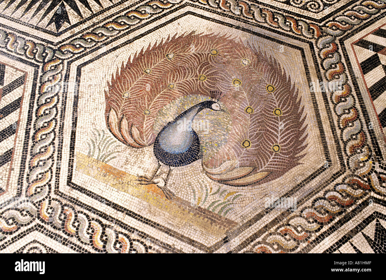 La France, Vaucluse, Vaison la Romaine, la villa du paon, mosaïque ...