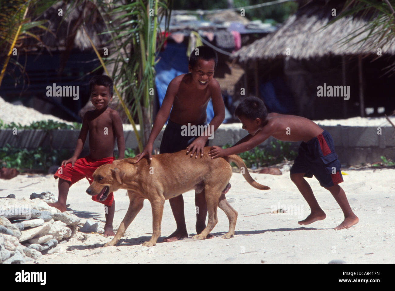 Les enfants jouent avec un Gilbertese chien sur l'île de Tarawa ...