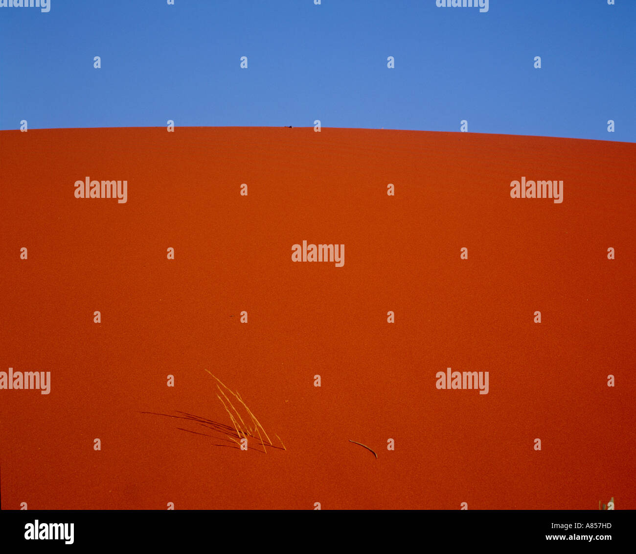 Simpson Rouge Banque d'image et photos - Alamy