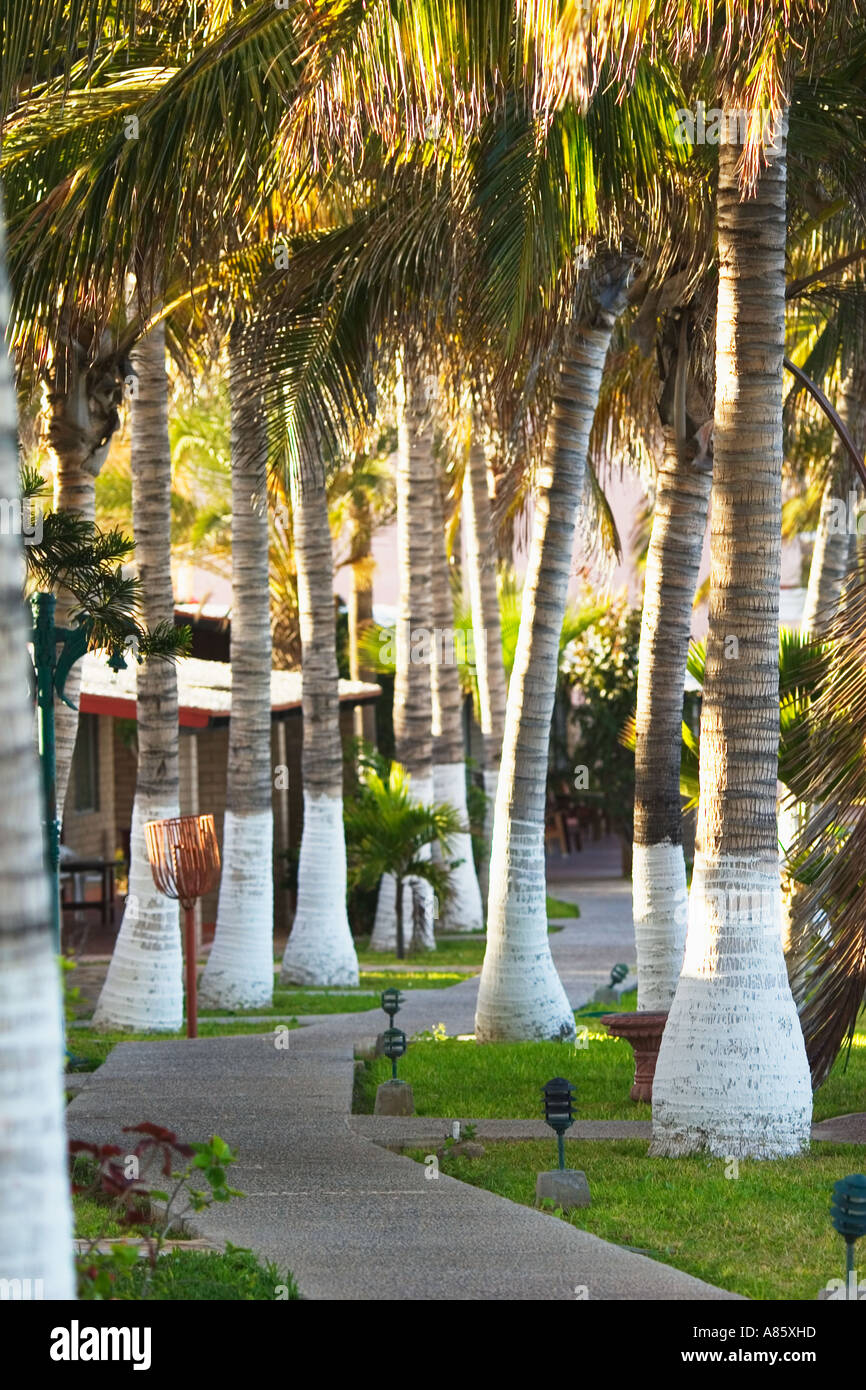 Playa colorada beach Banque de photographies et d’images à haute ...