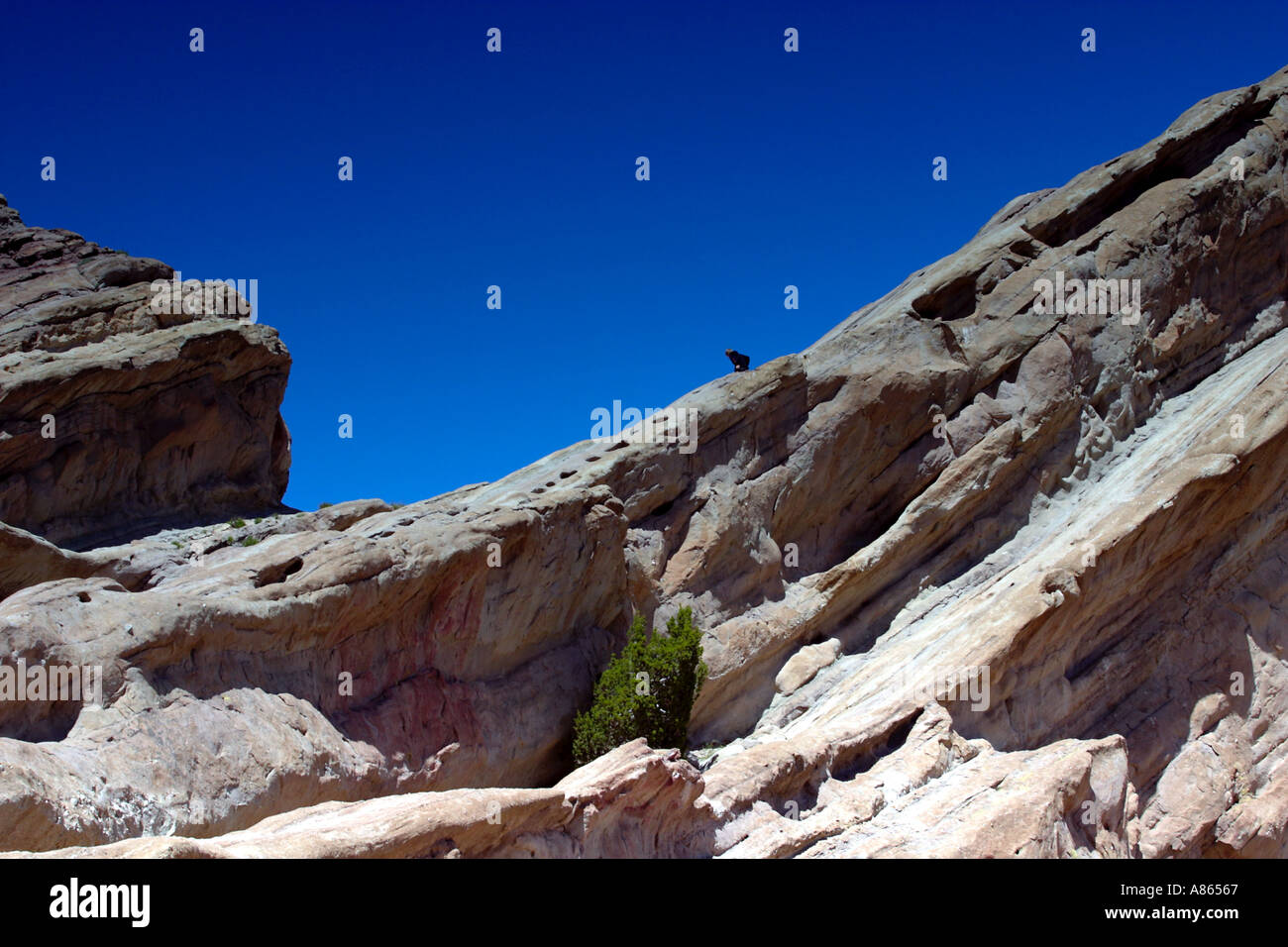 Vasquez rocks Banque de photographies et d’images à haute résolution ...