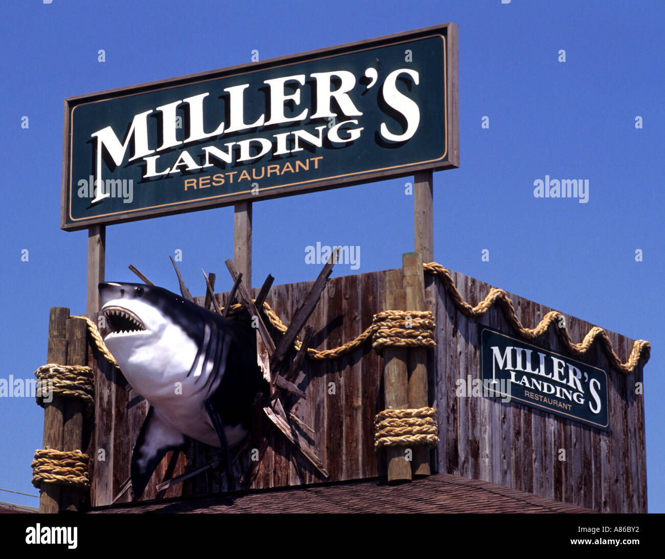 Shark bar Banque de photographies et d’images à haute résolution - Alamy