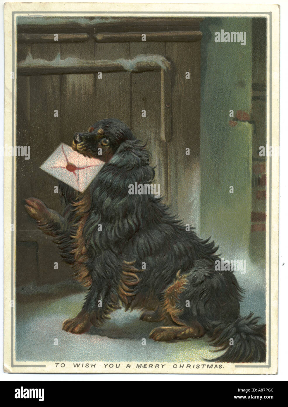 Carte de noel chien Banque de photographies et d’images à haute ...