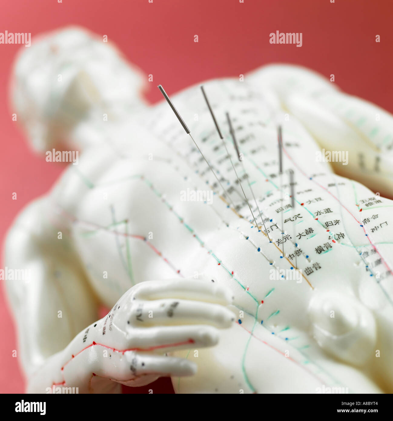 Acupuncture model human body Banque de photographies et d’images à ...