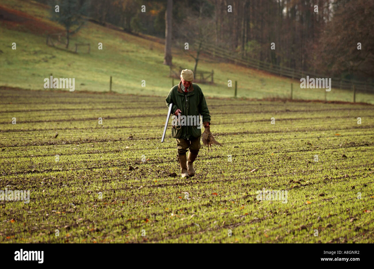 Ramener les morts Banque de photographies et d’images à haute ...
