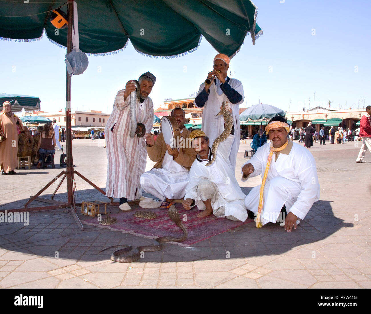 Serpents place jemaa el fna Banque d'image et photos - Alamy