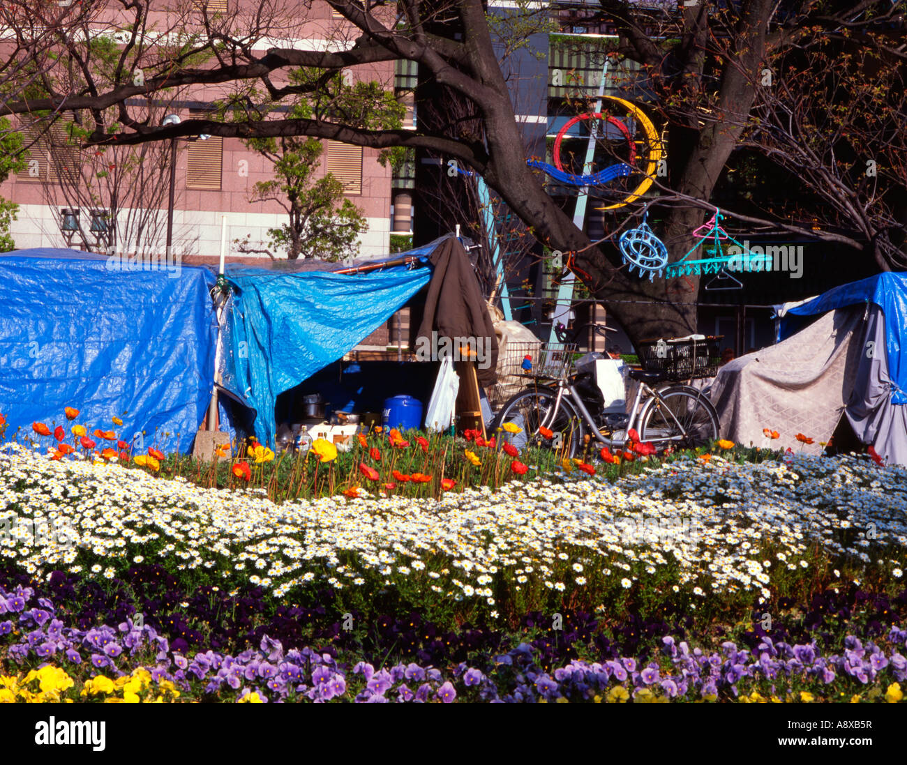 Parc seiryu Banque de photographies et d’images à haute résolution - Alamy