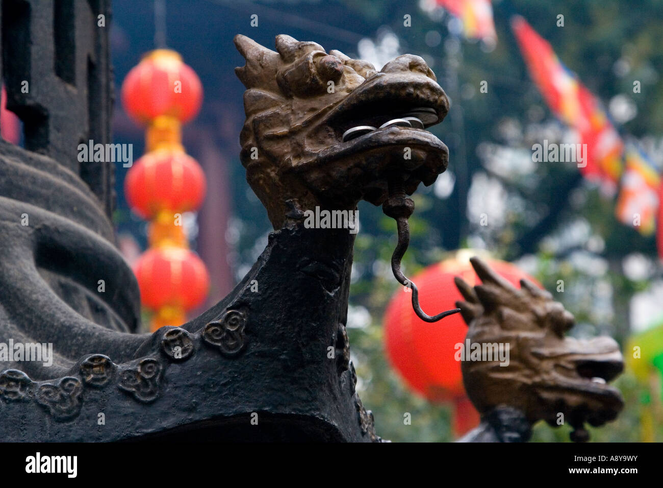 Six banians Banque de photographies et d’images à haute résolution - Alamy