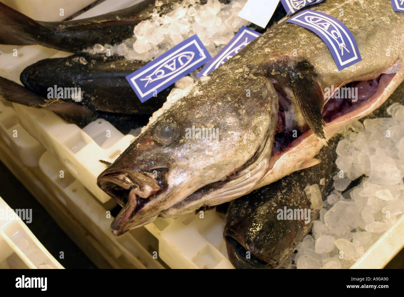 Peterhead fish market Banque de photographies et d’images à haute ...