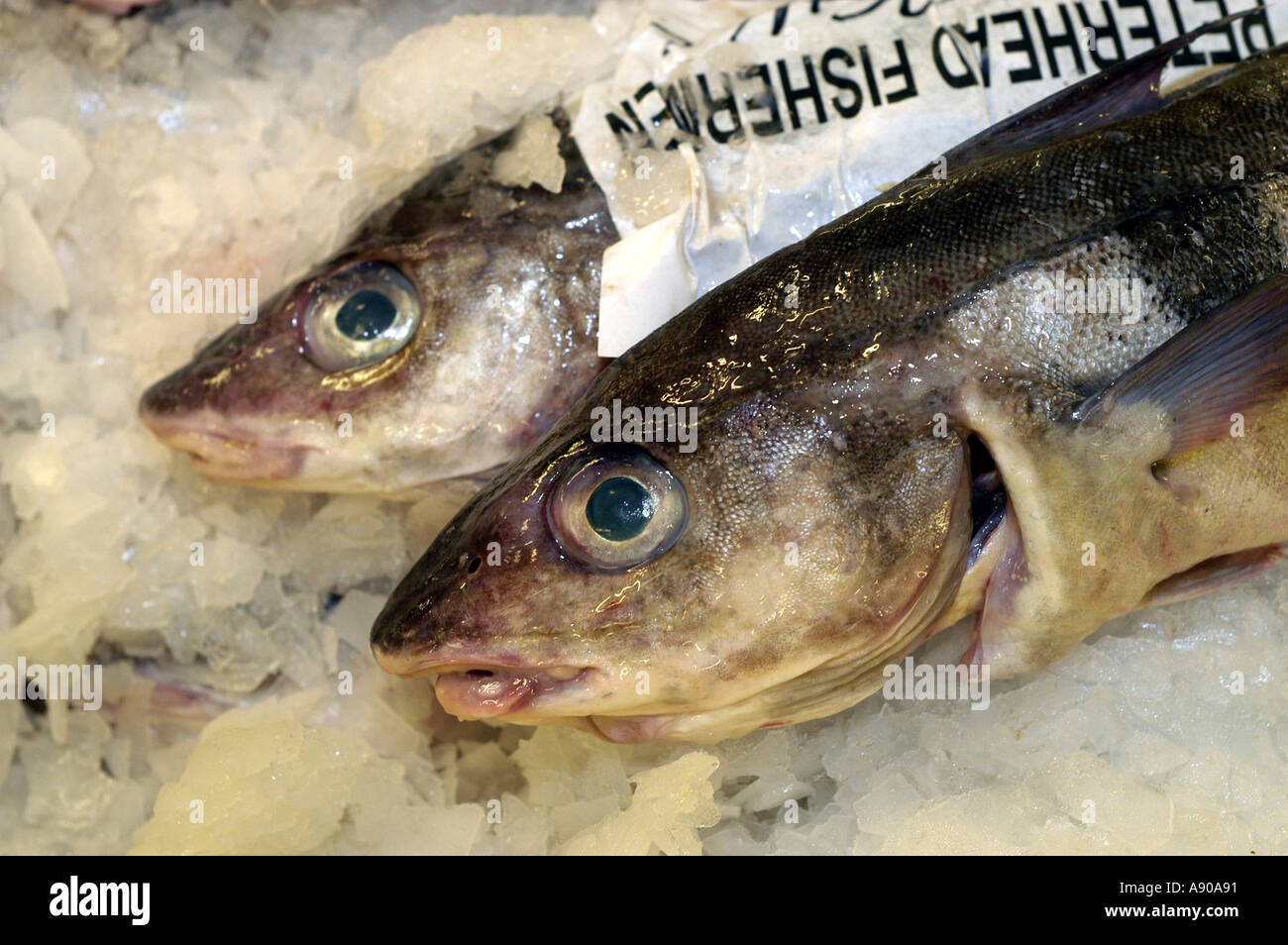 Peterhead fish market Banque de photographies et d’images à haute ...