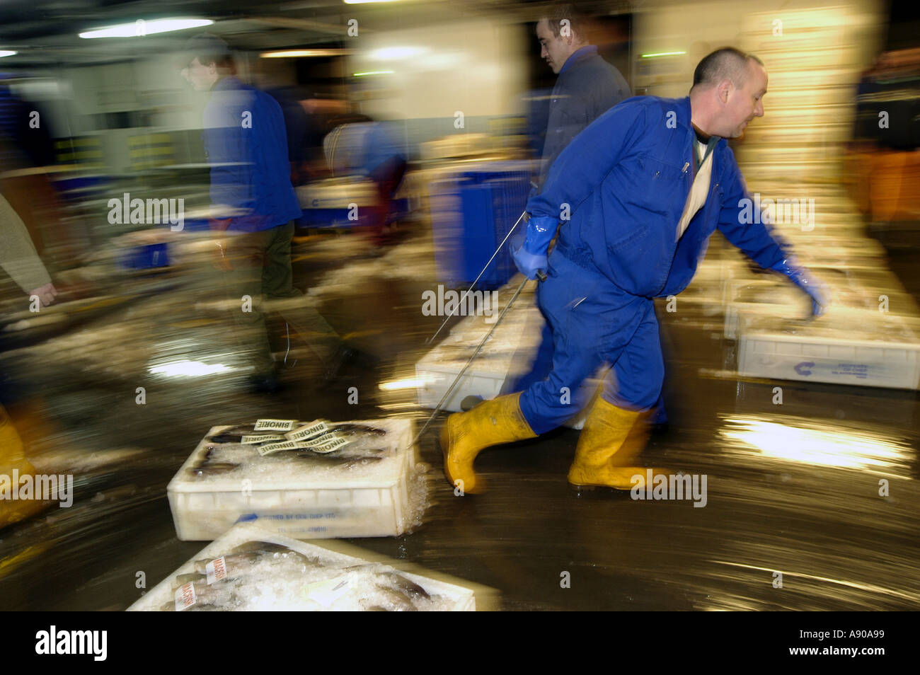 Peterhead fish market Banque de photographies et d’images à haute ...