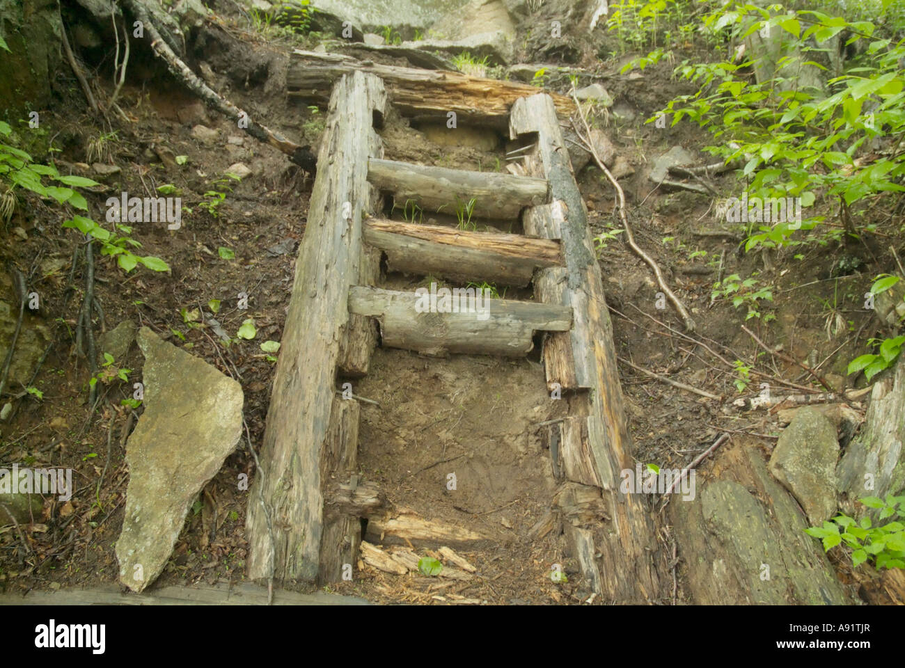 Sentier des Appalaches -un sentier sur la crête de l'échelle Wildcat ...