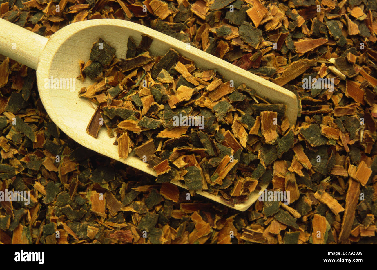 Rhamnus frangula cortex Banque de photographies et d’images à haute ...