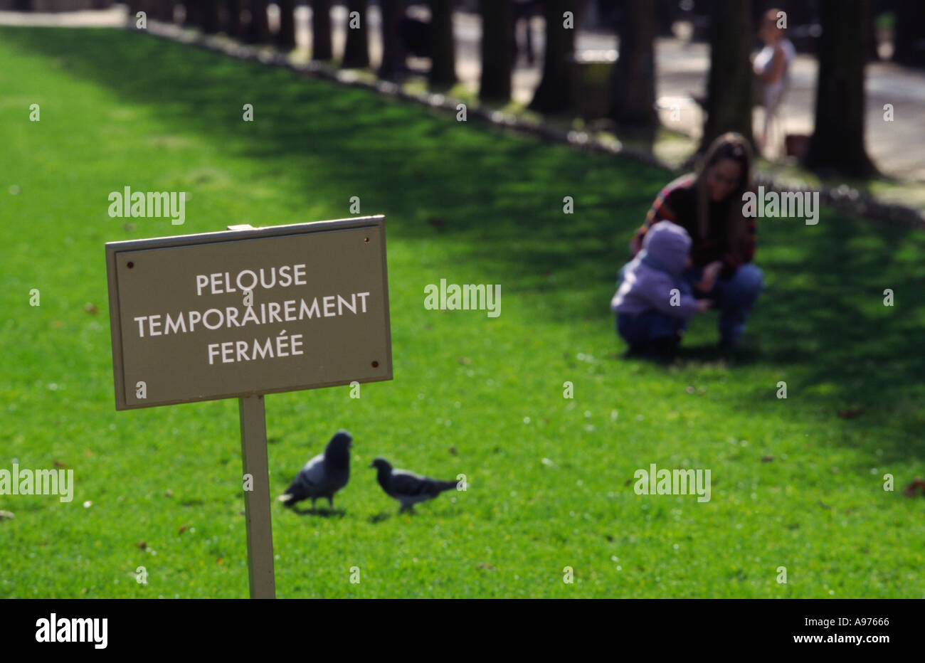 Pelouse interdite Banque de photographies et d’images à haute ...