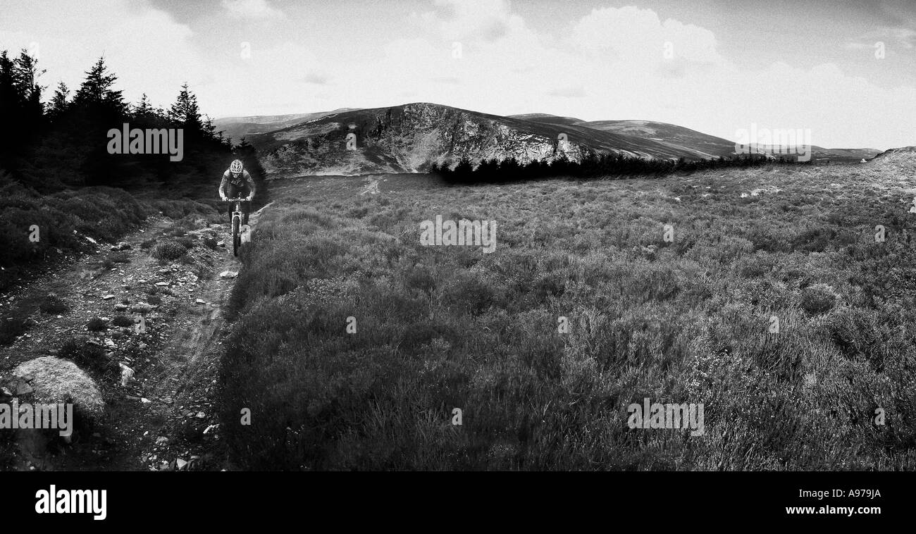 Un vélo de montagne grimpe un sentier rocheux à côté de bruyère dans ...