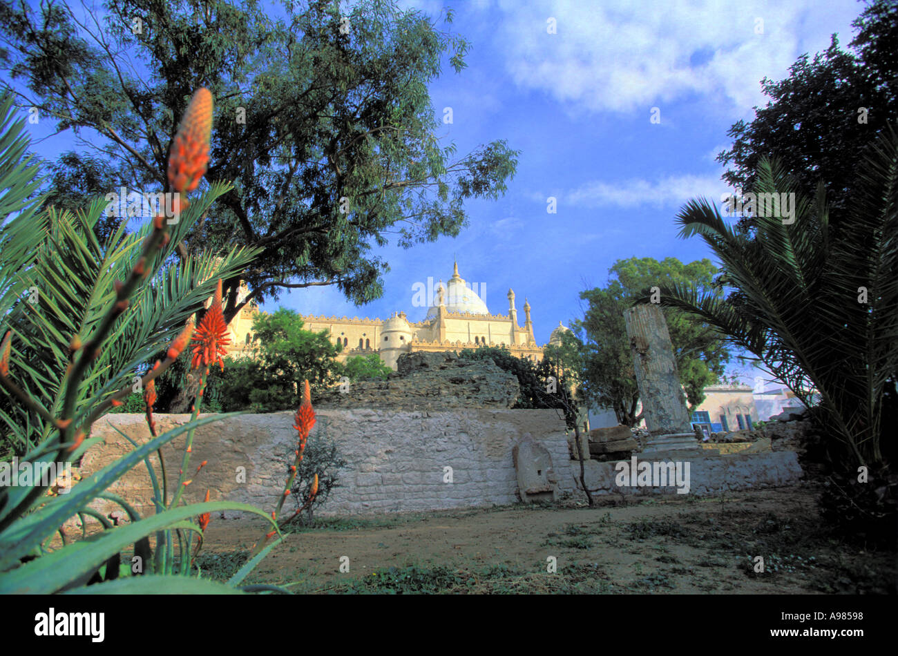 La cathédrale saint louis de carthage Banque de photographies et d ...