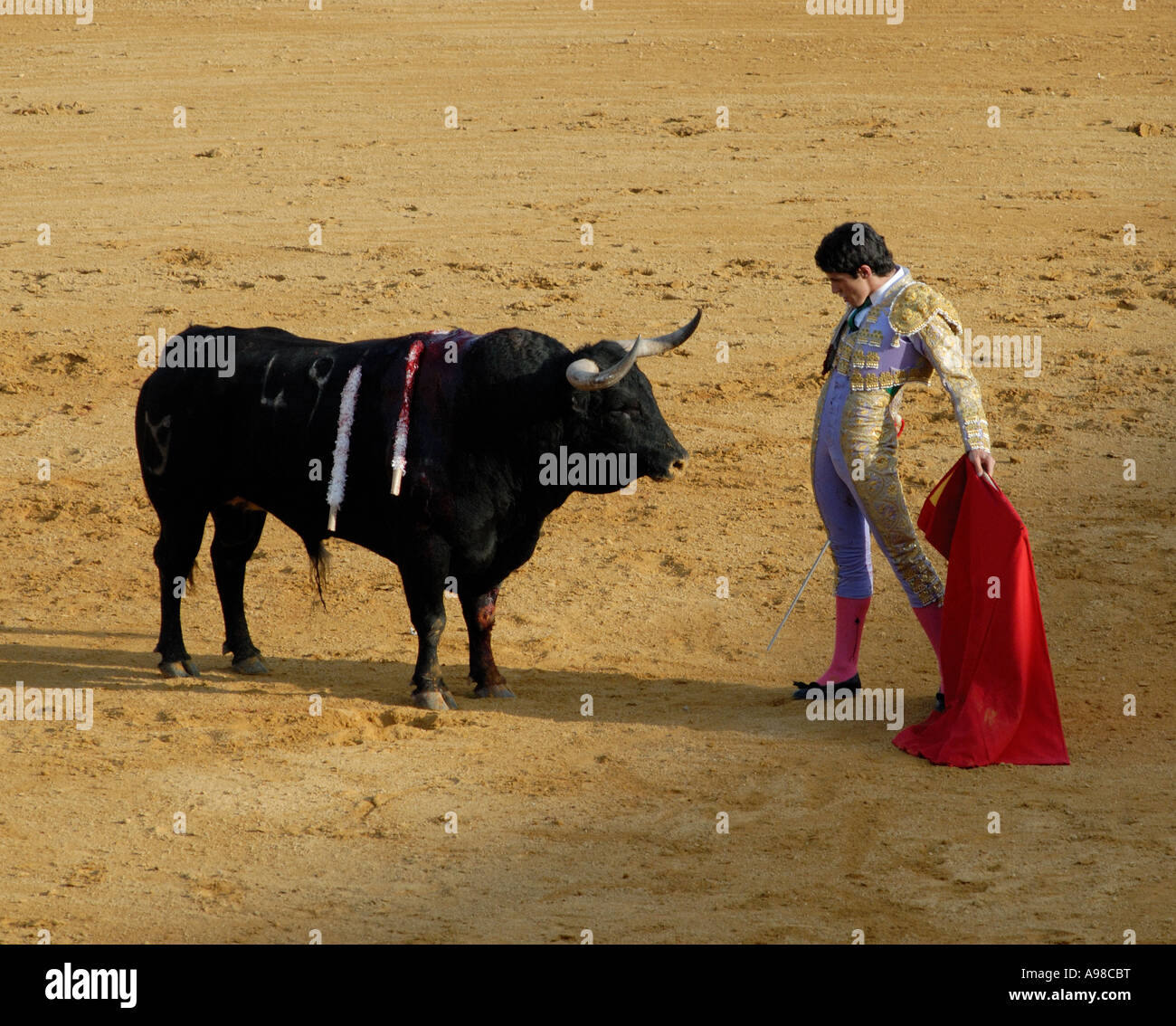 Red bull matador Banque de photographies et d’images à haute résolution ...
