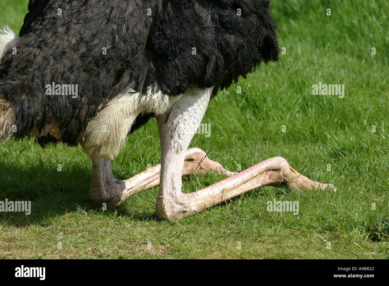 Col du pilon Banque de photographies et d’images à haute résolution - Alamy